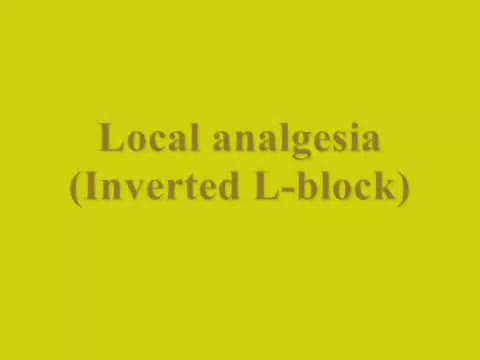 Gestor Educast - Educast Player: Inverted L block analgesia in cow
